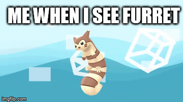 Image tagged in gifs,furret,funny - Imgflip