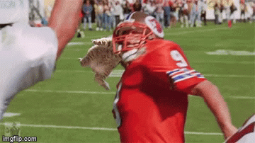 GO CAT GO!!!!!!!!!!!!!!!!! - Imgflip