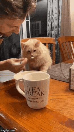 Brain Freeze - Imgflip