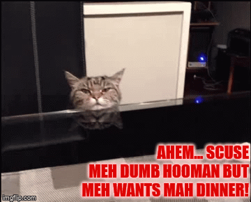 Ahem - Imgflip