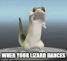 When your lizard dances - Imgflip