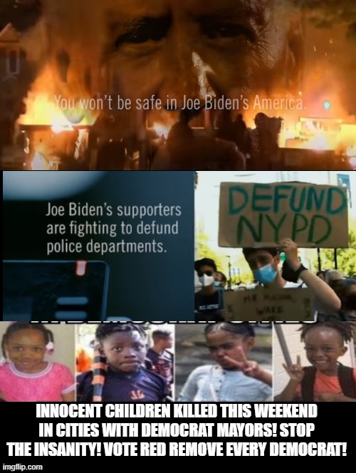 Stop The Insanity! Stop Voting Democrat! - Imgflip