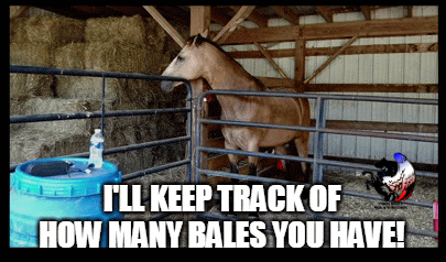 Counting Hay Bales - Imgflip