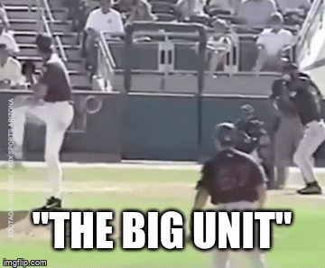 "The Big Unit" at work. Pitch was ruled dead as was the bird. - Imgflip