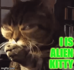 I is Alien - Imgflip