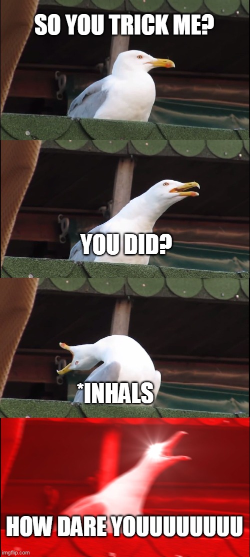 Inhaling Seagull Meme - Imgflip