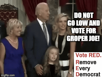 Do not go low and vote for Groper Joe! - Imgflip