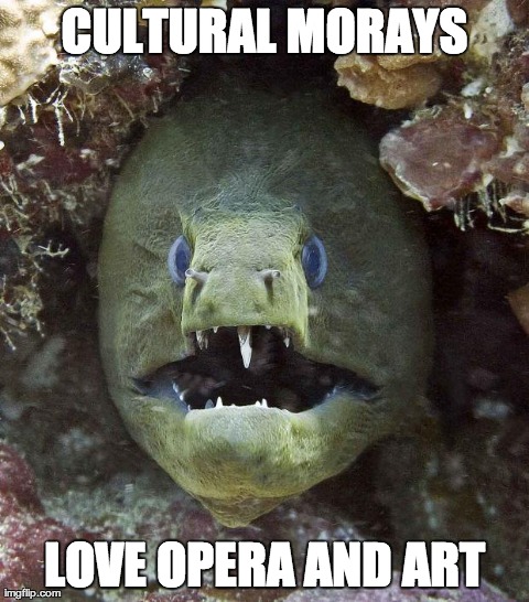 Image tagged in moray - Imgflip