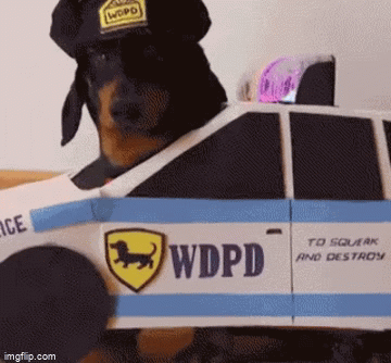 Police dog car chasing after the dog - Imgflip