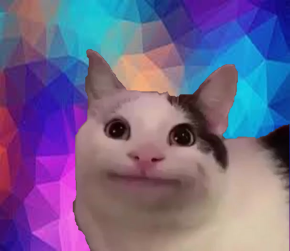 Awkward Cat Blank Template Imgflip