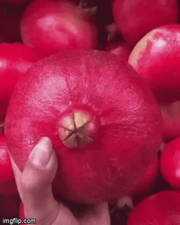 clever way to open a pomegranate - Imgflip