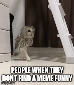 Do people find my memes funny ;( - Imgflip
