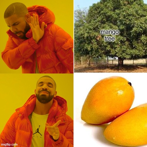 Drake Hotline Bling Meme - Imgflip