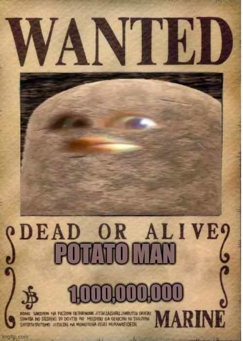 Editable One Piece Wanted Poster Template