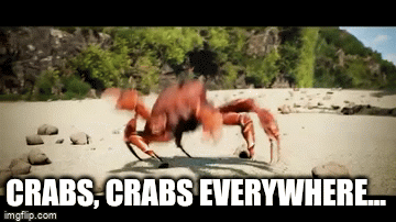 Crabs in beach - Imgflip