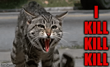 Kill - Imgflip
