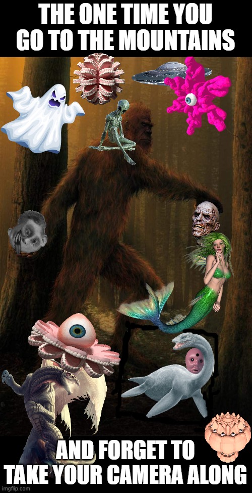 but you forgot your camera - Imgflip