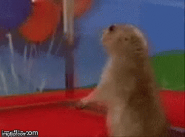 He's a prairie dog, people! - Imgflip