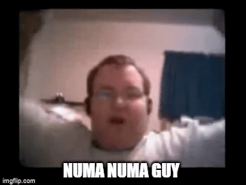 Nostalgic Memes(Part 1): Numa Numa Guy - Imgflip