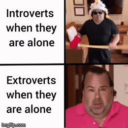 Extrovert vs introvert - Imgflip