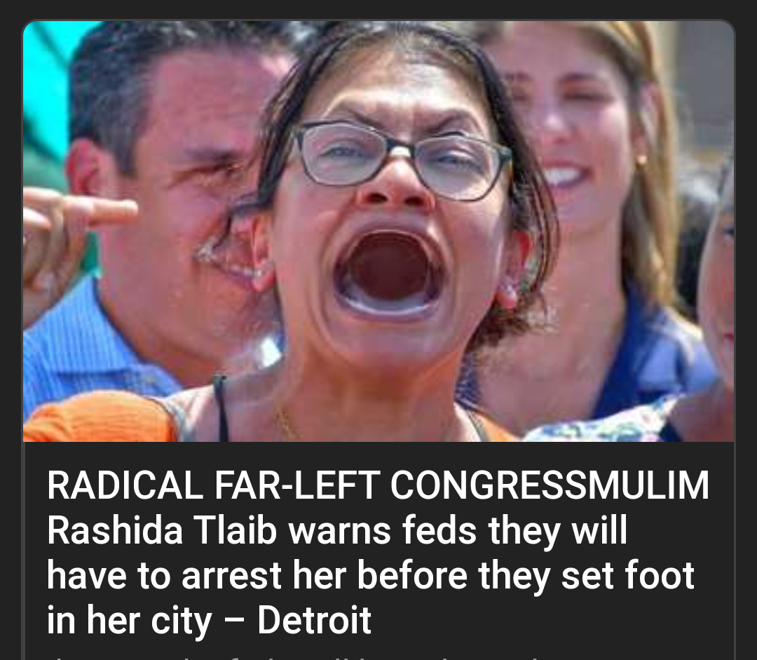 Tlaib Meme Generator - Imgflip