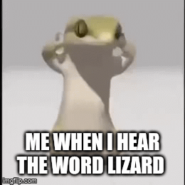 Dancing Lizard - Imgflip
