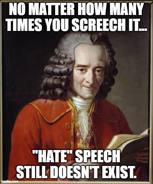 Hate speech denialists: Take the N-word challenge - Imgflip