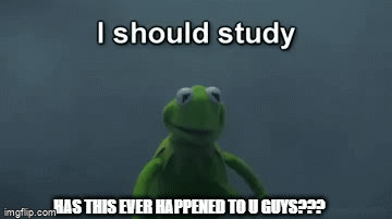 no study plz - Imgflip