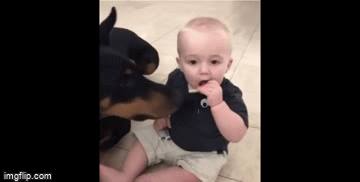 When You Discover No Snack is Safe - Imgflip