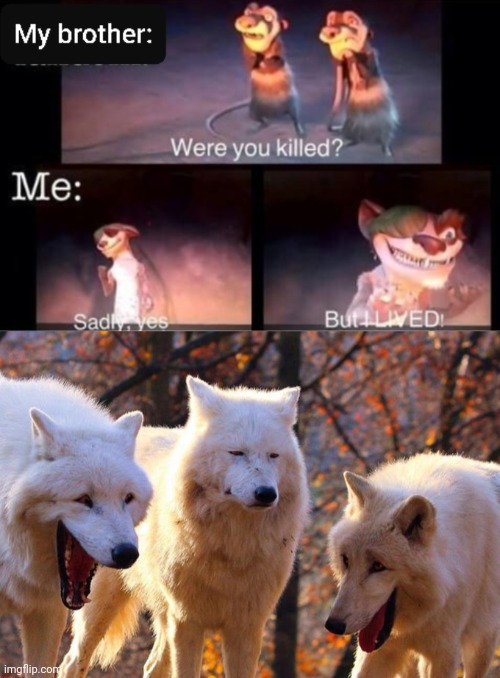 Image tagged in three laughy wolves - Imgflip