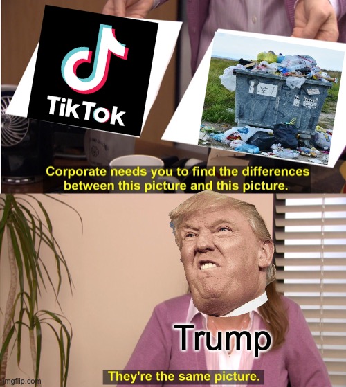 Same Picture Meme Template