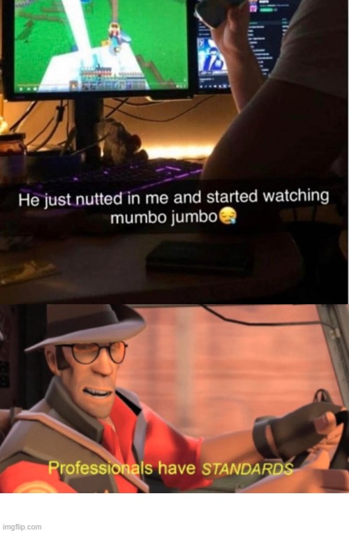 Image tagged in blank white template,professionals have standards - Imgflip