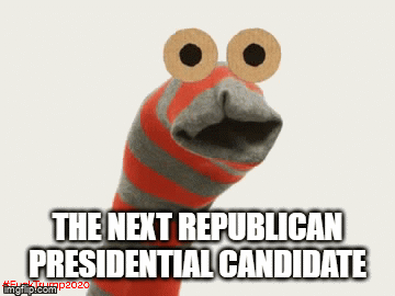 Sock Puppet politics - Imgflip