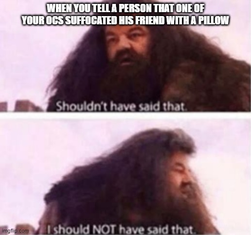 Shouldn t Have Said That Imgflip