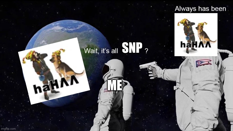 r/PlaySpies be like - Imgflip