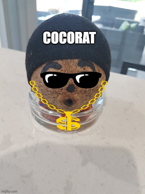 cocorat - Imgflip