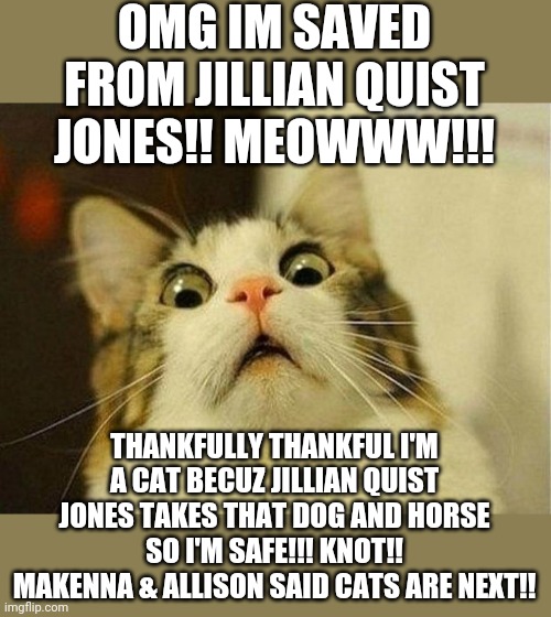 Scared Cat Meme - Imgflip