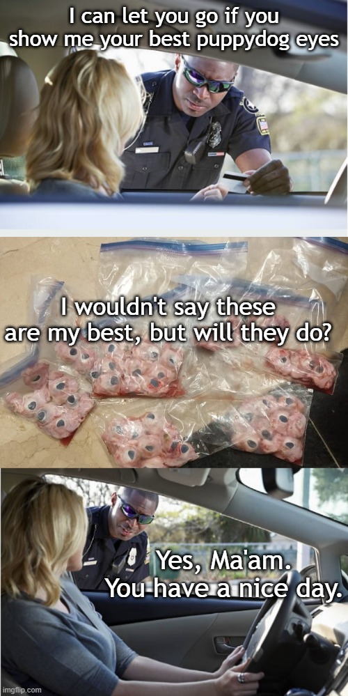 Protect and Serve - Imgflip