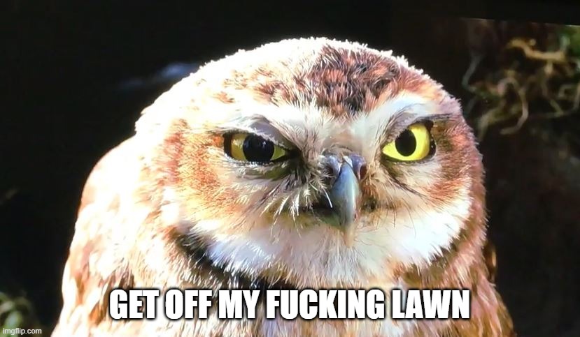 Evil Owl Memes Meme Creator Funny Must . . . Stop. . . Drugs.