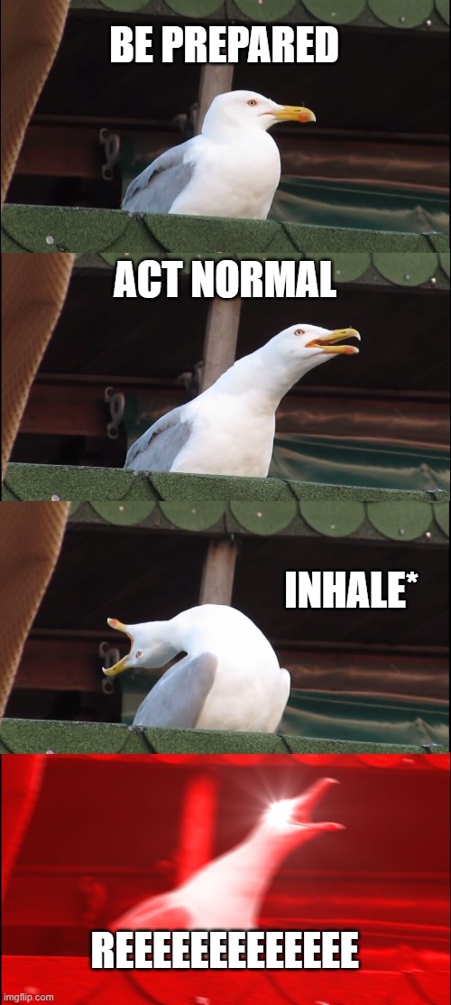 Inhaling Seagull Meme - Imgflip
