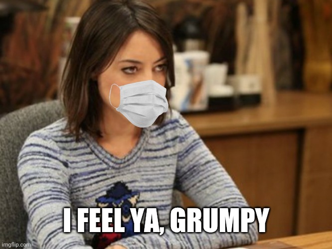 Grumpy cat - Imgflip