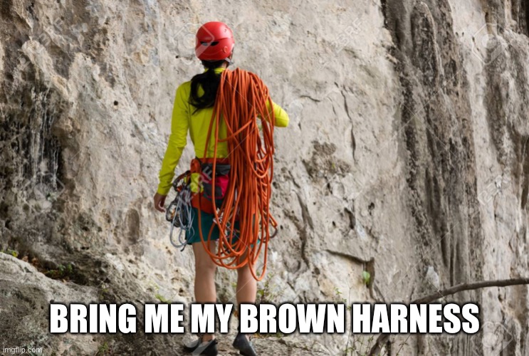 Who's gonna take this statue down? - Imgflip