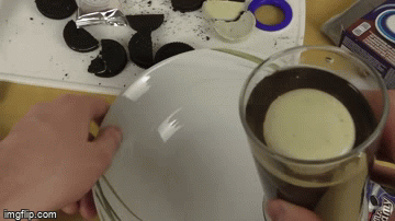 German guy tried putting oreo in the water junkfoodtasterdotcom - Imgflip