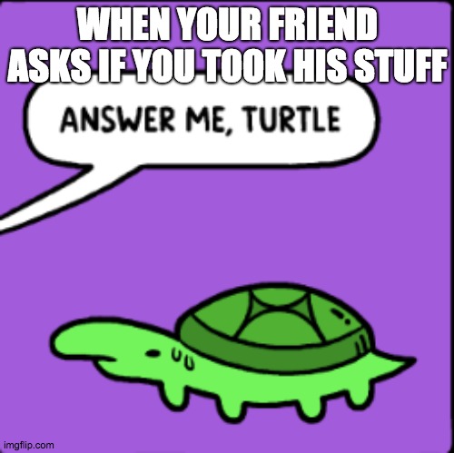 answer me, turtle - Imgflip