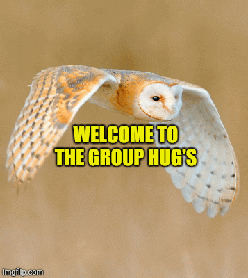 Beautiful birds welcome to the group hug's - Imgflip
