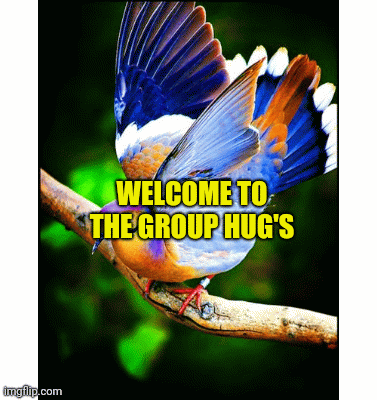 Beautiful birds welcome to the group hug's - Imgflip