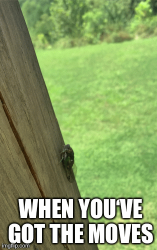 Ive Got Your Back Memes Gifs Imgflip Images