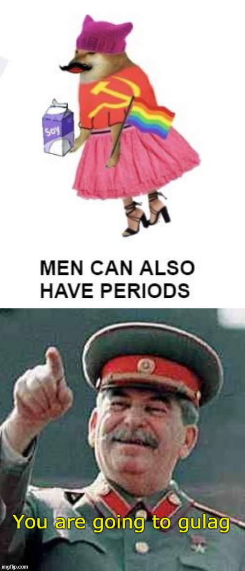 NO! SILLY SOYBOY CHEEMS. DON'T TRUST STALIN! : r/fragilecommunism