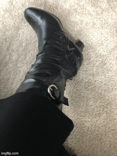 Animated GIF - Imgflip