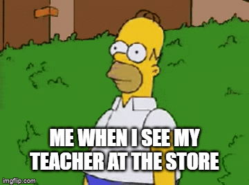 homer simpson meme - Imgflip